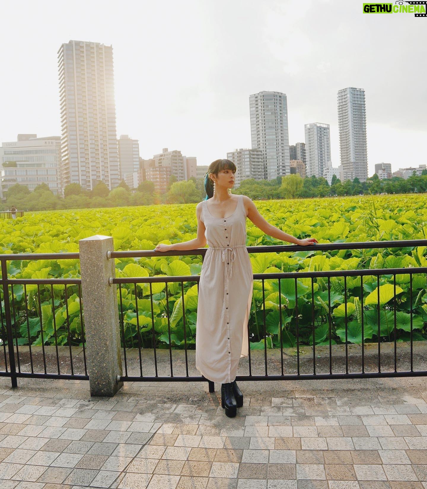 Kyoko Hinami Wiki, Biography, Age, Gallery, Spouse and more