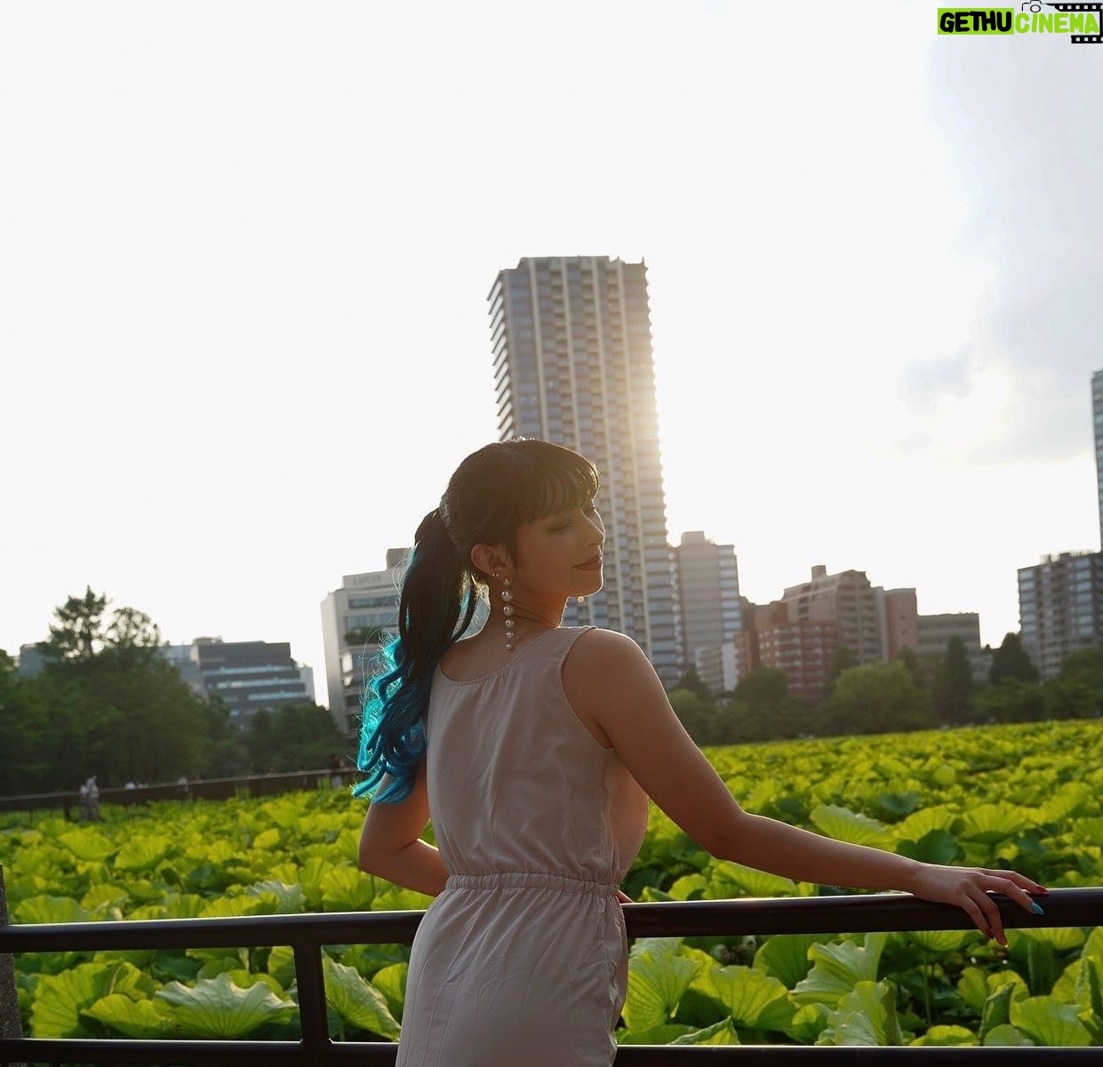 Kyoko Hinami Wiki, Biography, Age, Gallery, Spouse and more