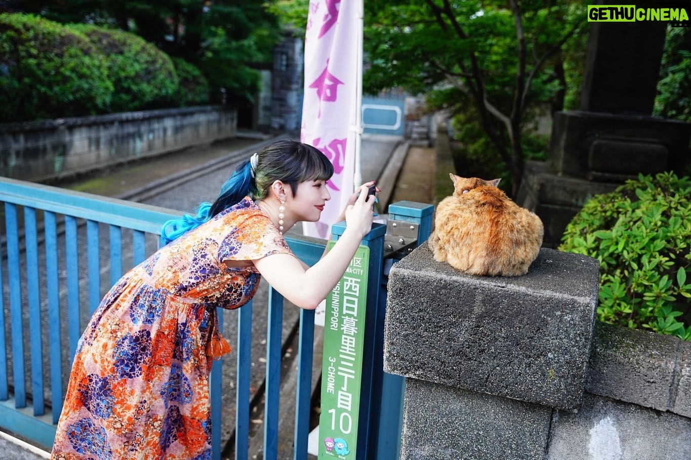 Kyoko Hinami Wiki, Biography, Age, Gallery, Spouse and more