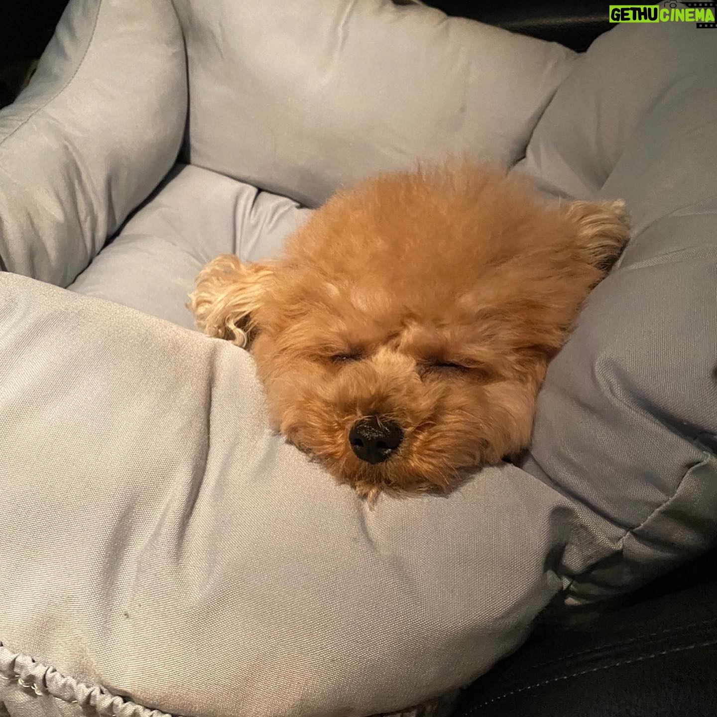 Lee Ji-won | Gethu Cinema