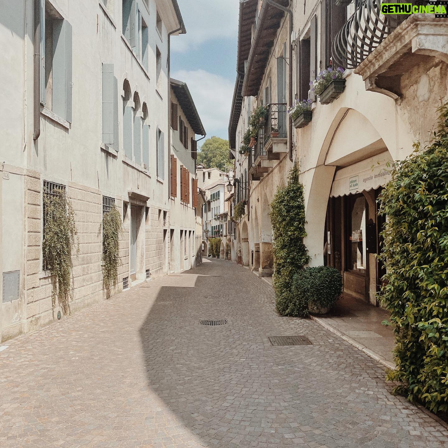 Lilly Dreesen | Gethu Cinema