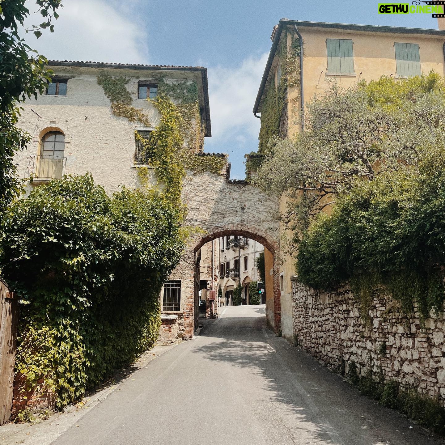 Lilly Dreesen | Gethu Cinema