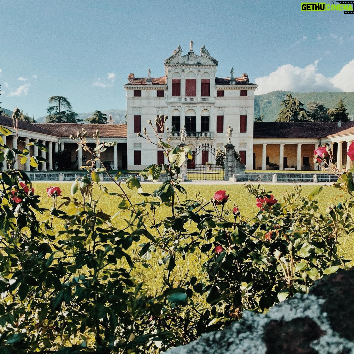 Lilly Dreesen | Gethu Cinema