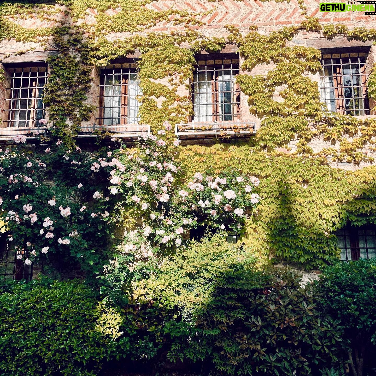 Lilly Dreesen | Gethu Cinema