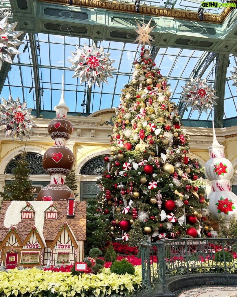 Actress Linda Lind HD Instagram Photos and Wallpapers December 2022 ...