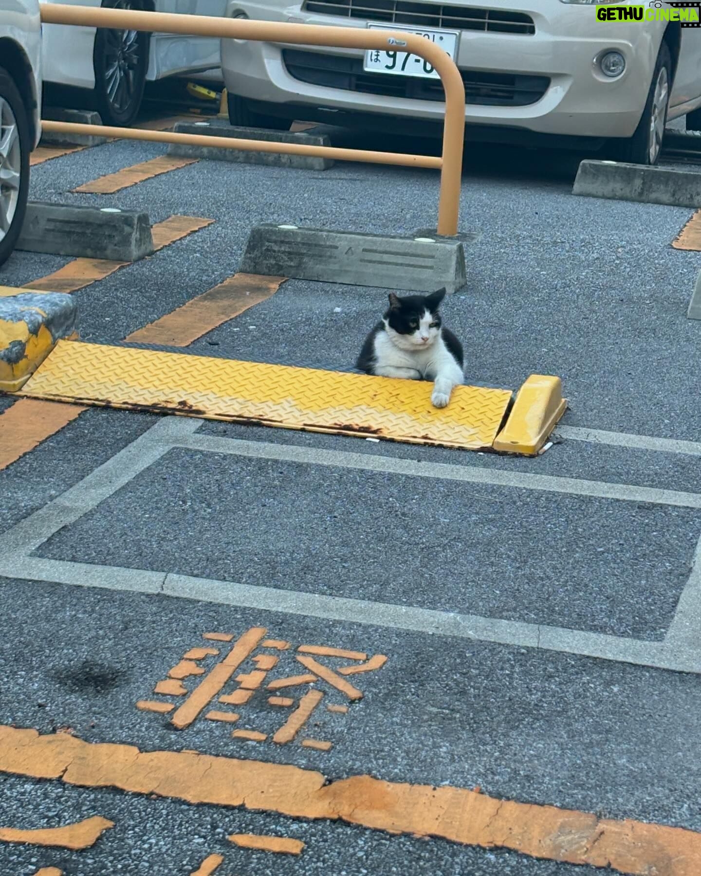 Lisa Liu | Gethu Cinema