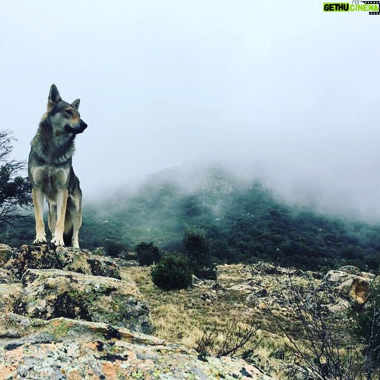 Luis Fernández | Gethu Cinema