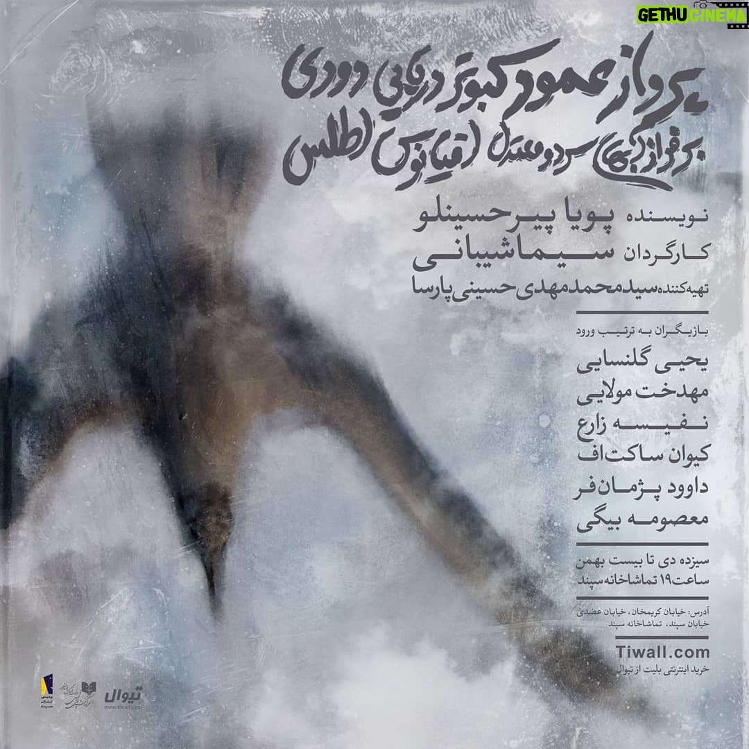 Mahdokht Molaei | Gethu Cinema