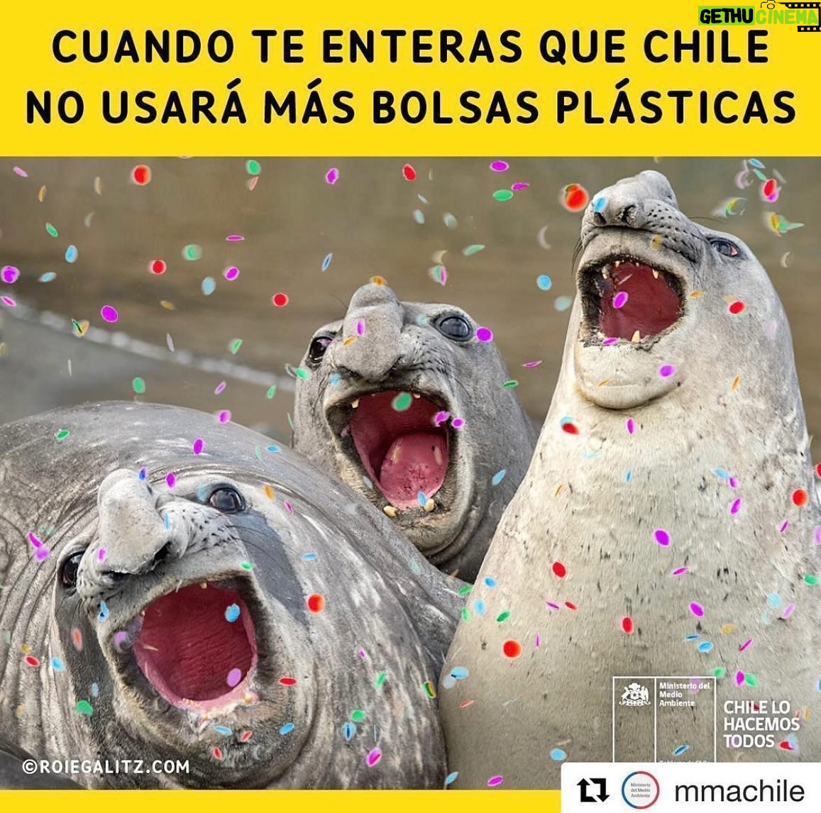 Marcela Cubillos | Gethu Cinema