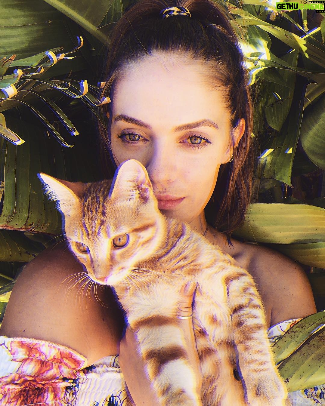 Michelle Allen | Gethu Cinema