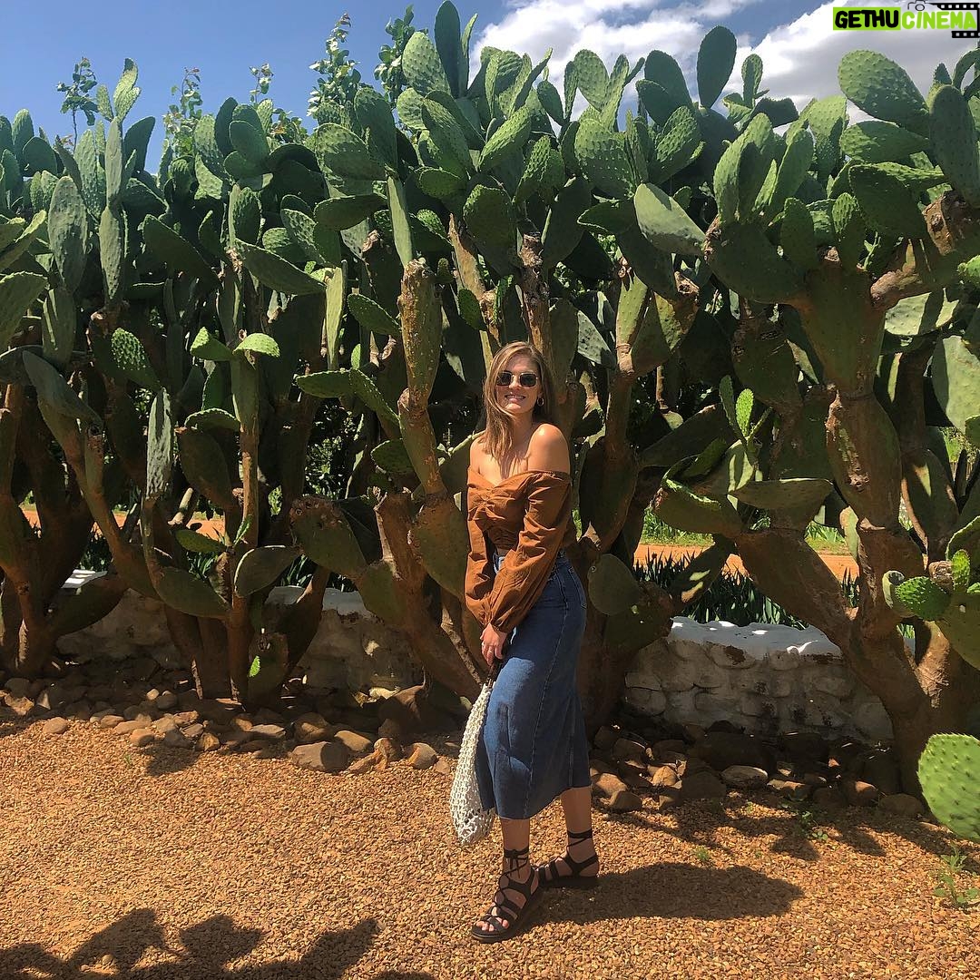 Michelle Allen | Gethu Cinema