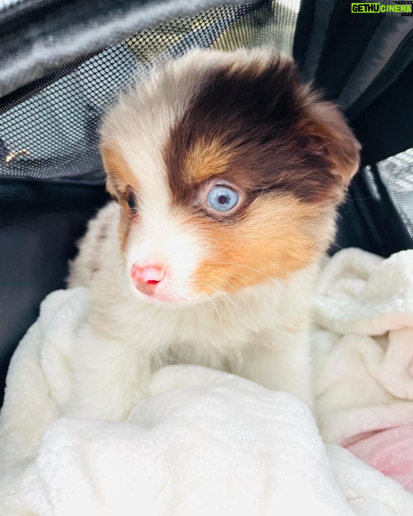 Actress Miranda Frigon HD Instagram Photos and Wallpapers July 2023 ...