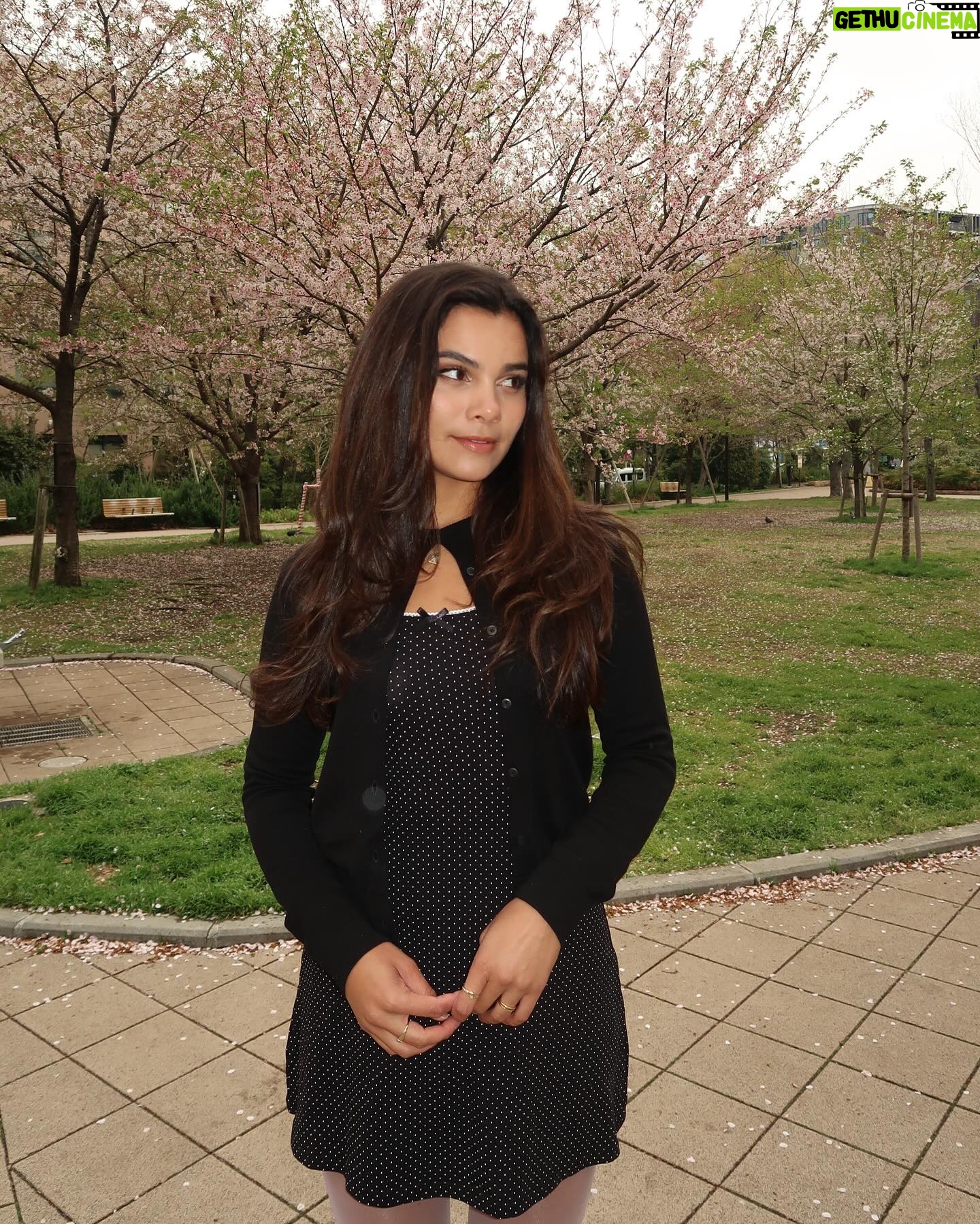 Missy Fierro | Gethu Cinema