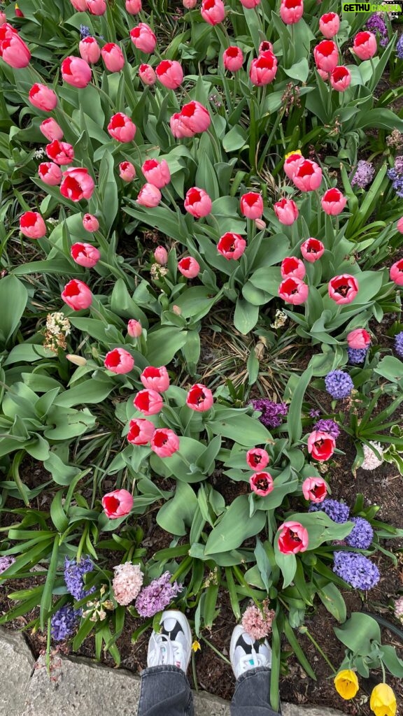 Actress Missy Fierro HD Instagram Photos and Wallpapers April 2024 ...