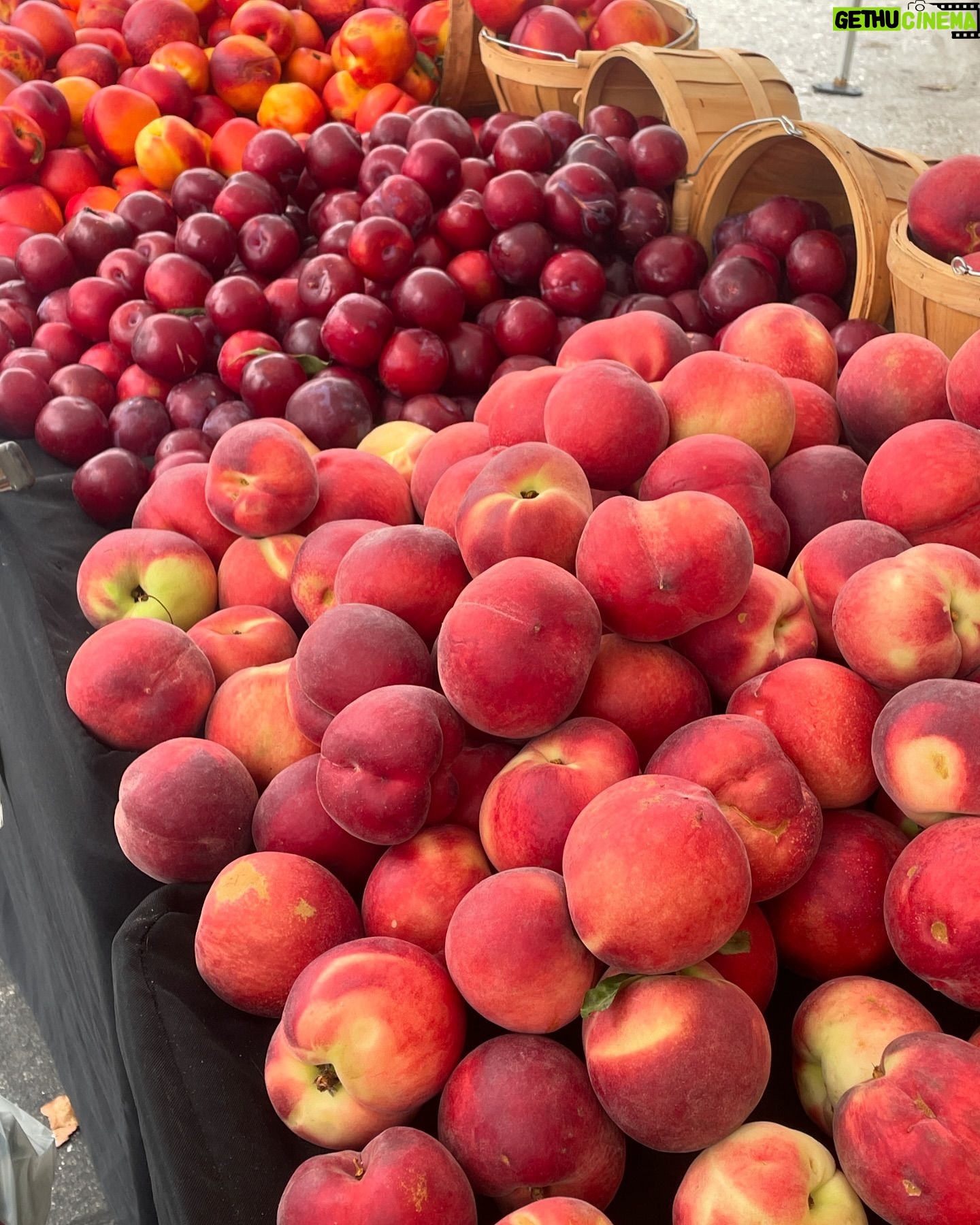 Monette Moio | Gethu Cinema