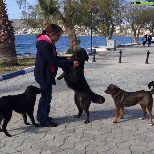 Nalan | Gethu Cinema