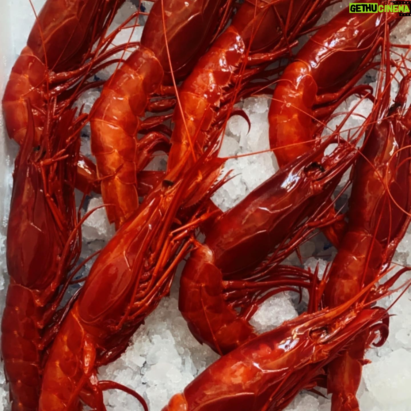 Natalia Khod | Gethu Cinema