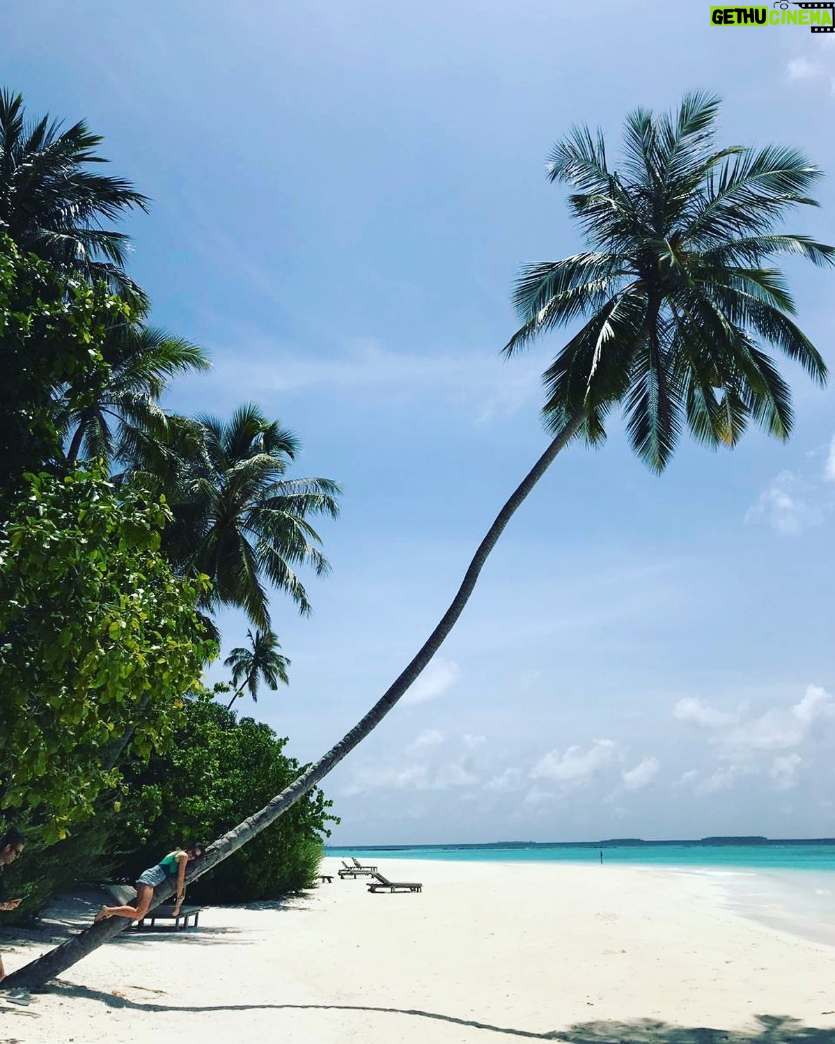 Neta Riskin | Gethu Cinema