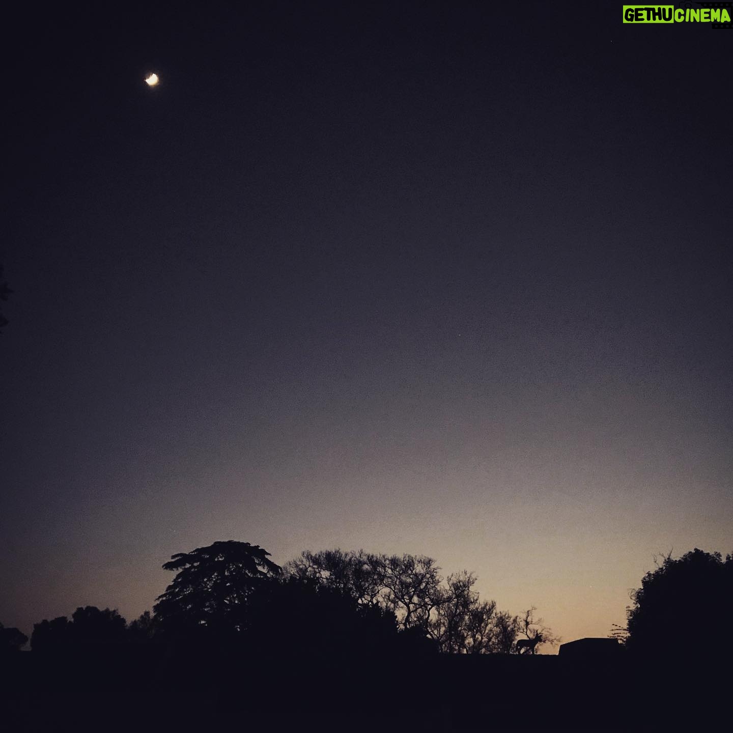 Nicholas James | Gethu Cinema