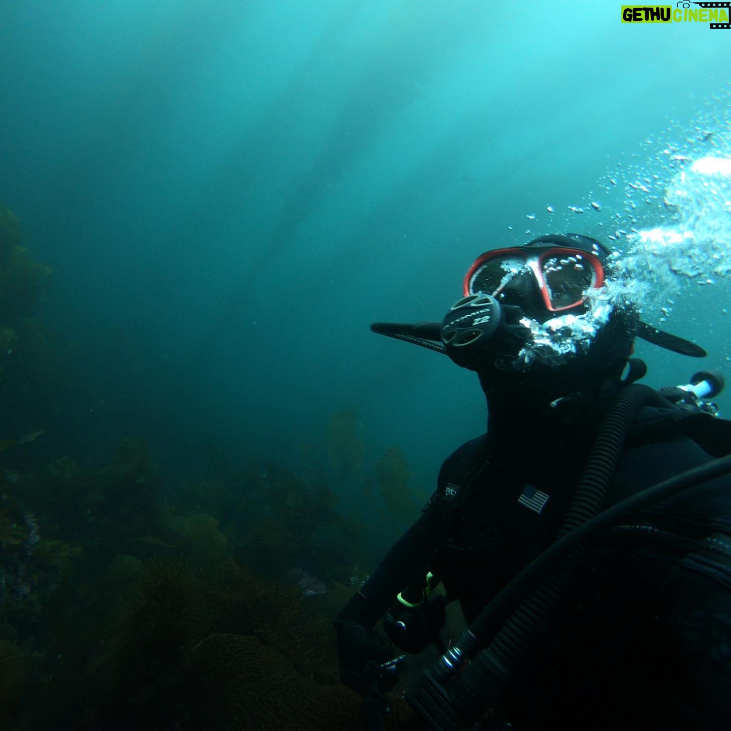 Nicholas James | Gethu Cinema