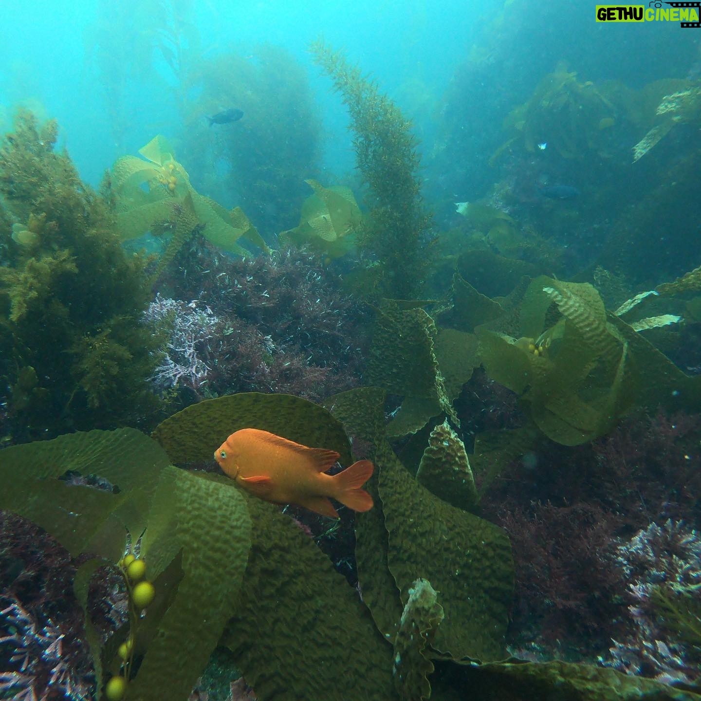 Nicholas James | Gethu Cinema