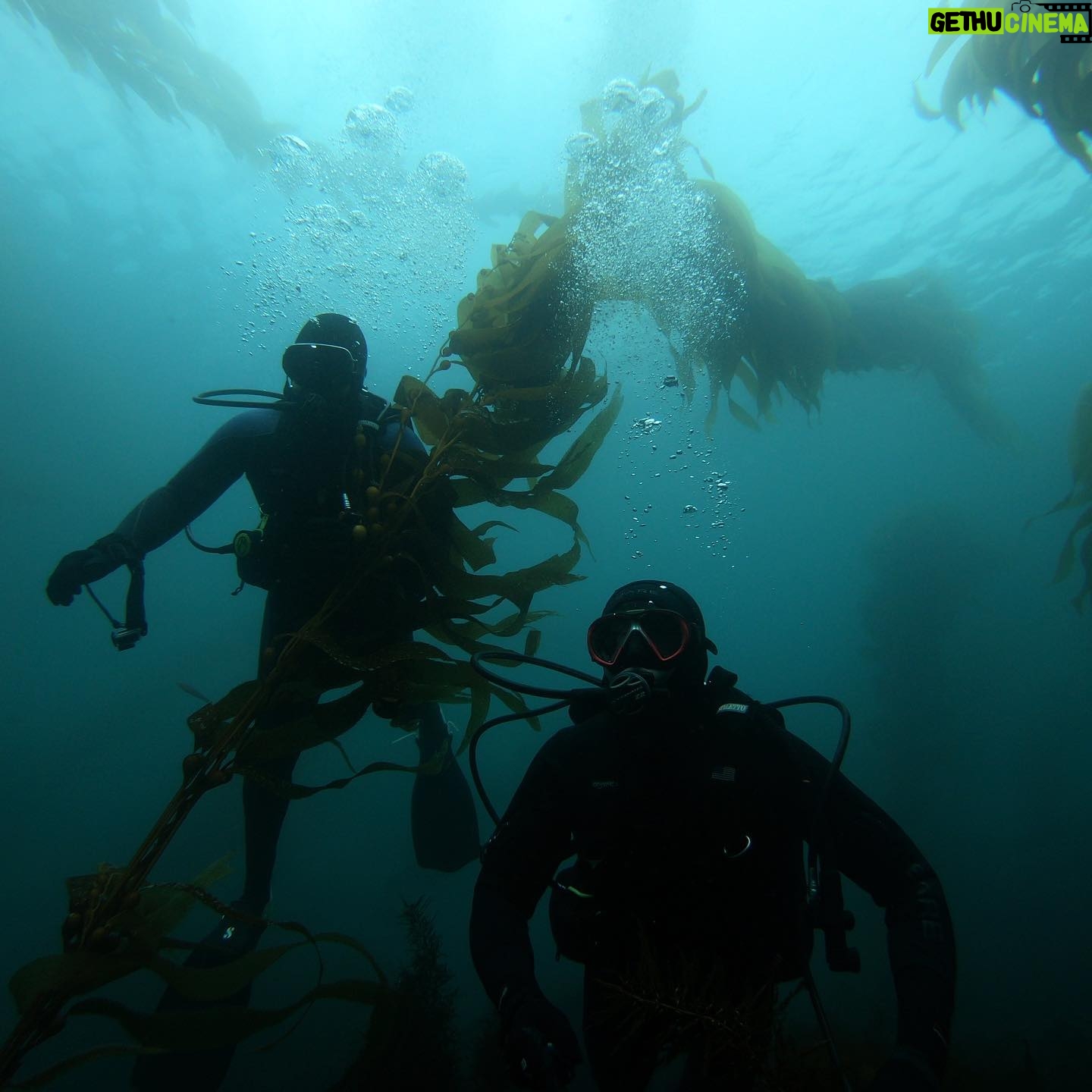 Nicholas James | Gethu Cinema