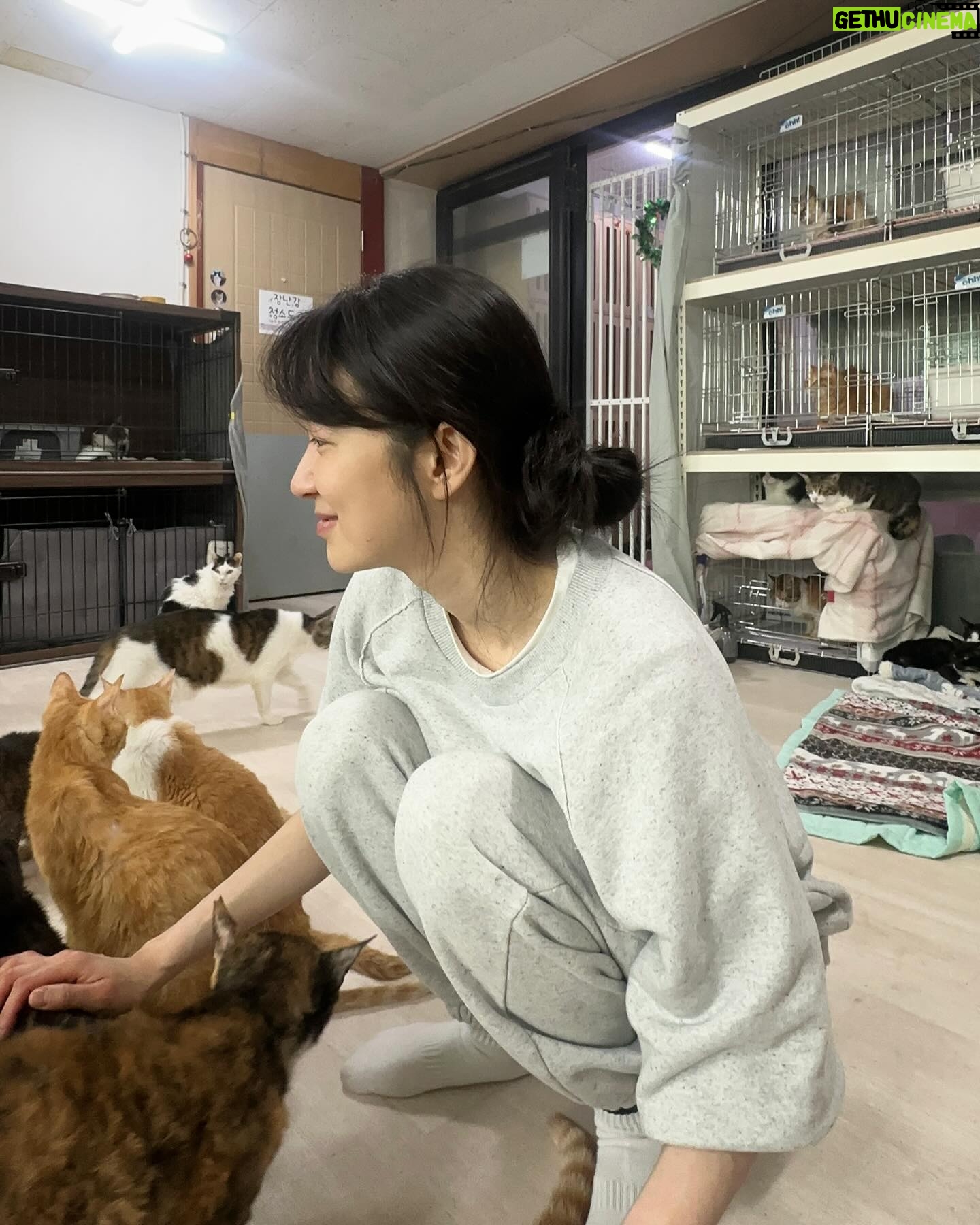 Oh Hye-won Wiki, Biography, Age, Photos, Spouse and more