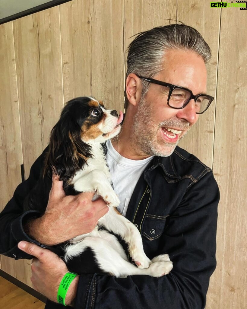 Actor Paddy Considine HD Instagram Photos and Wallpapers June 2024 ...
