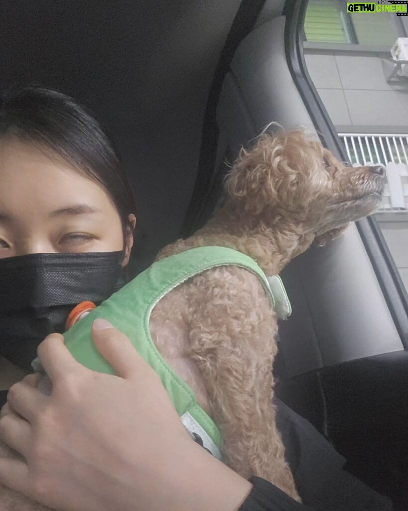 Actress Park Bo-Mi HD Instagram Photos and Wallpapers May 2024 | Gethu ...