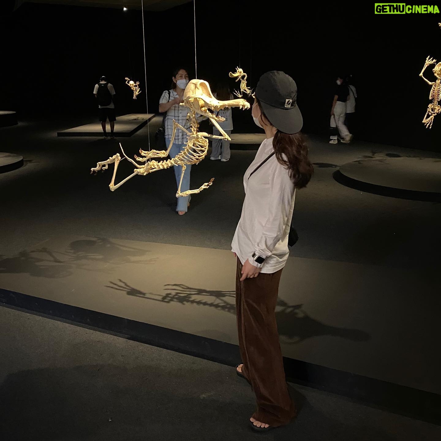 Park Seung-yeon | Gethu Cinema