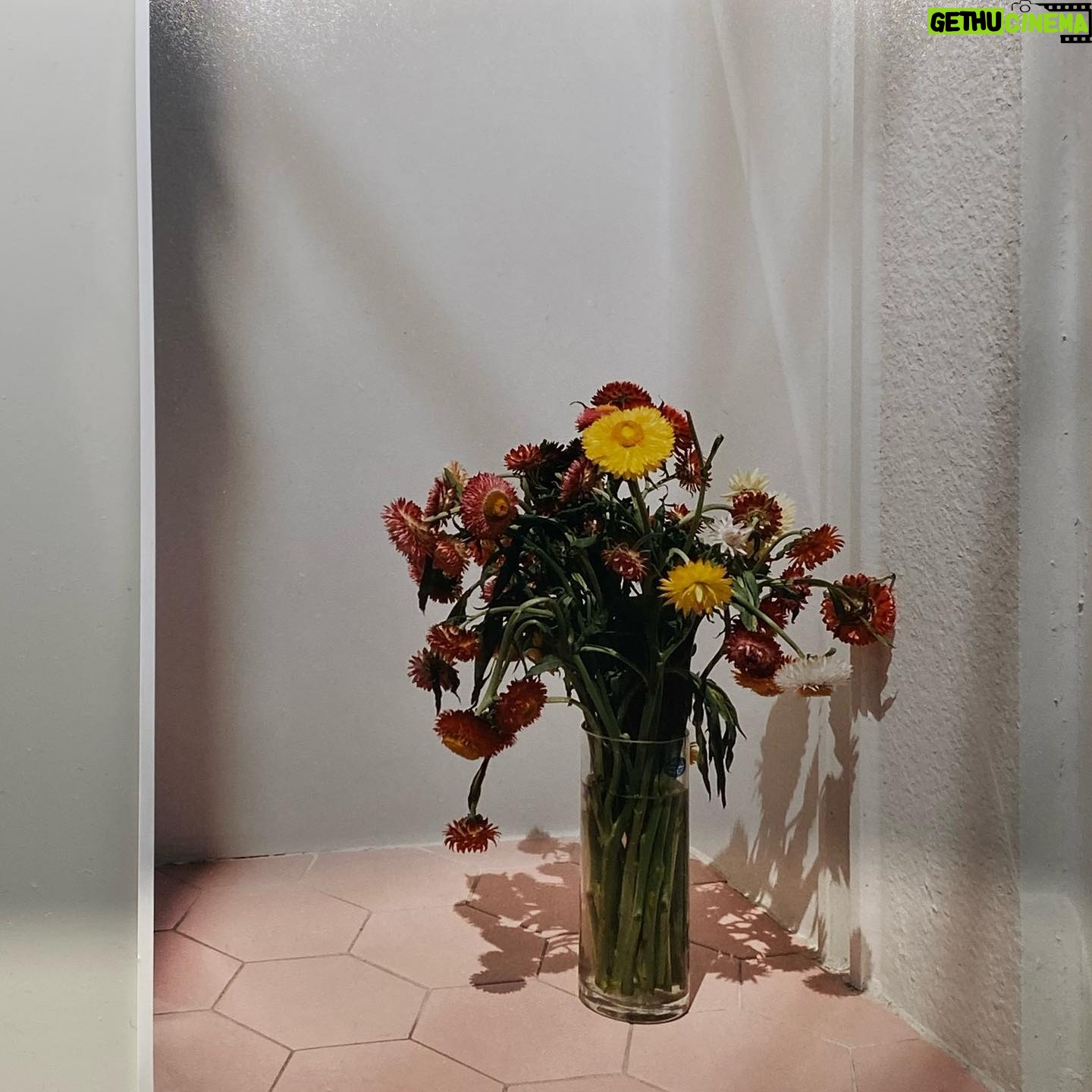 Park Seung-yeon | Gethu Cinema