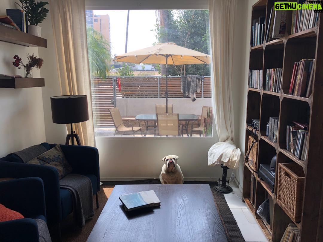 Patrick John Flueger | Gethu Cinema