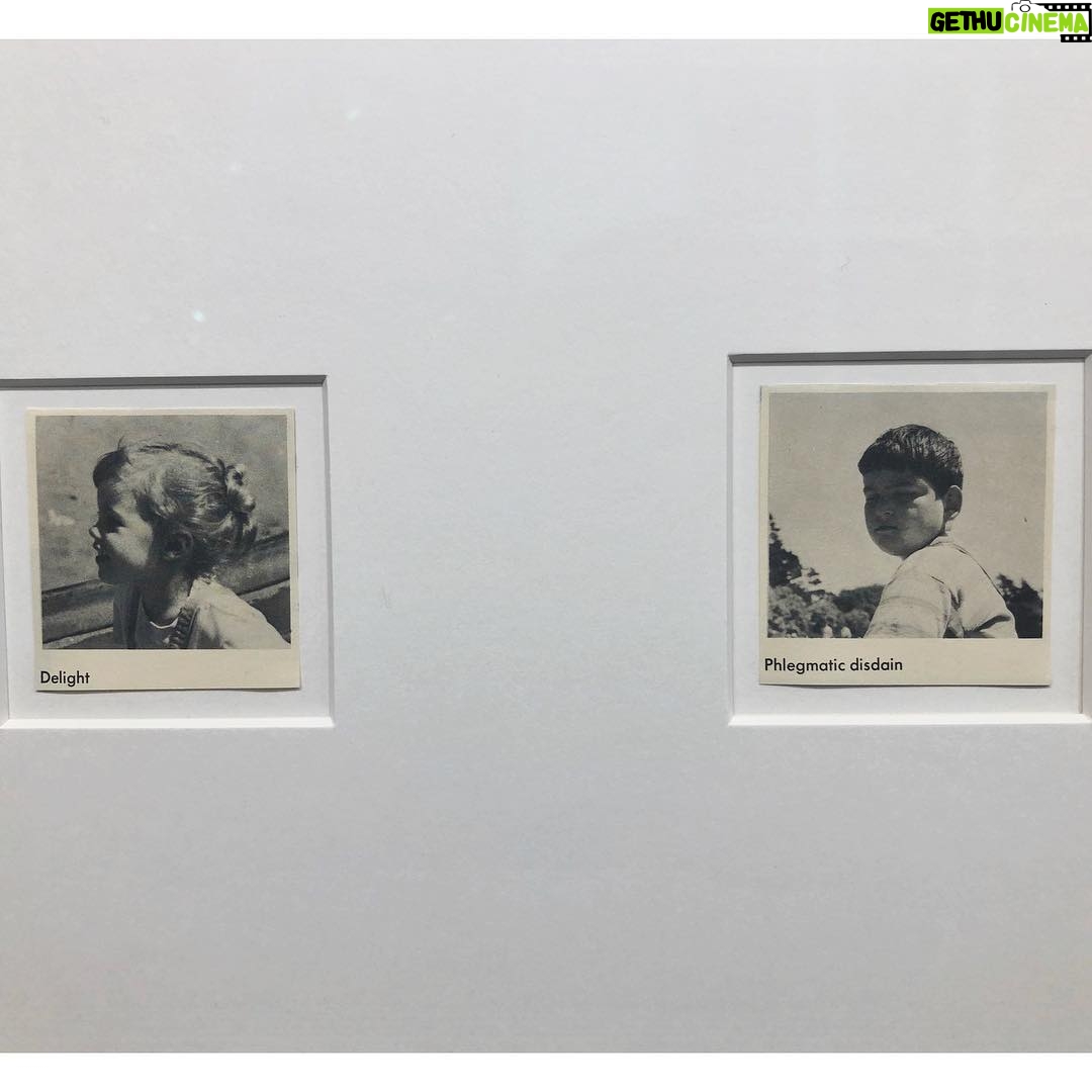 Phoebe Fox | Gethu Cinema