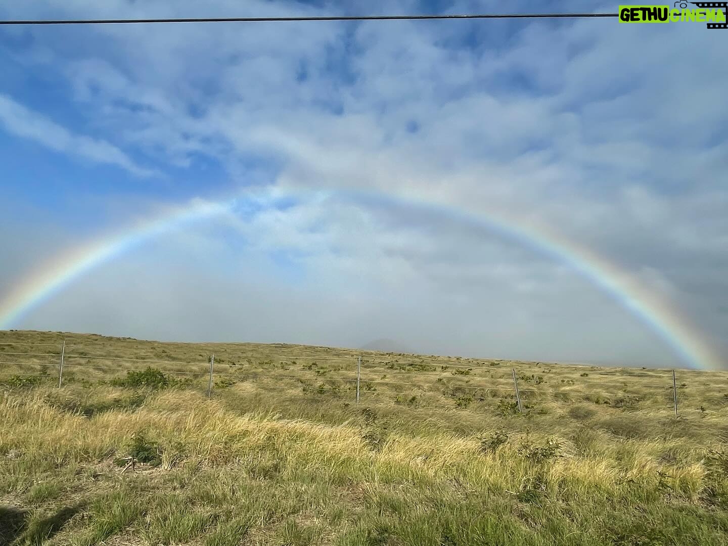 Pua Case | Gethu Cinema