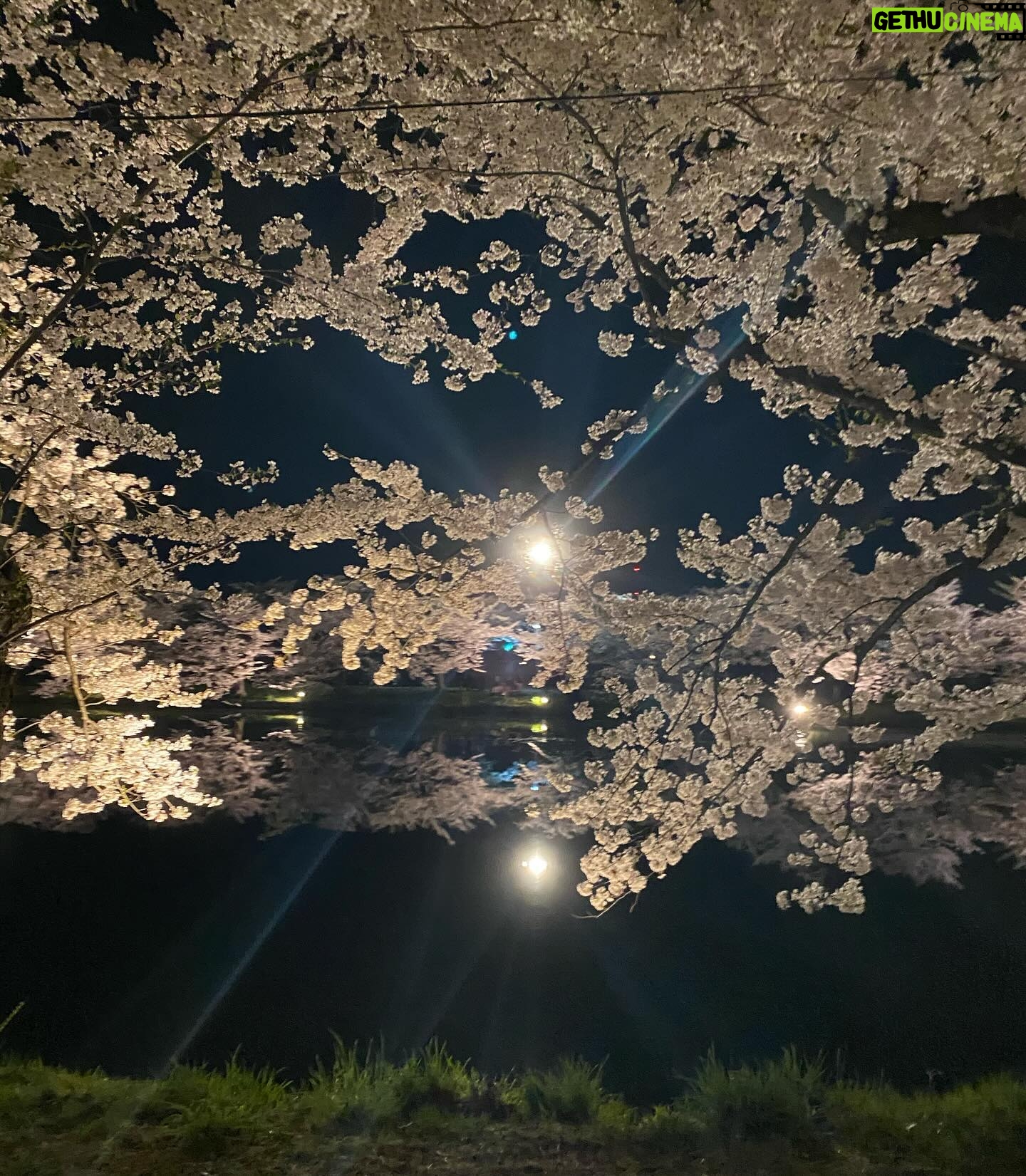 Ren Komai | Gethu Cinema