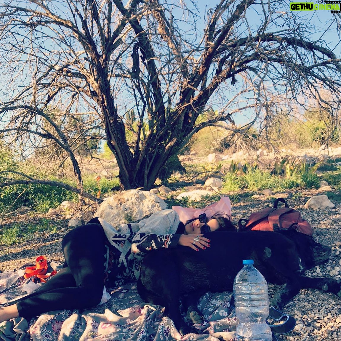 Samar Qupty | Gethu Cinema