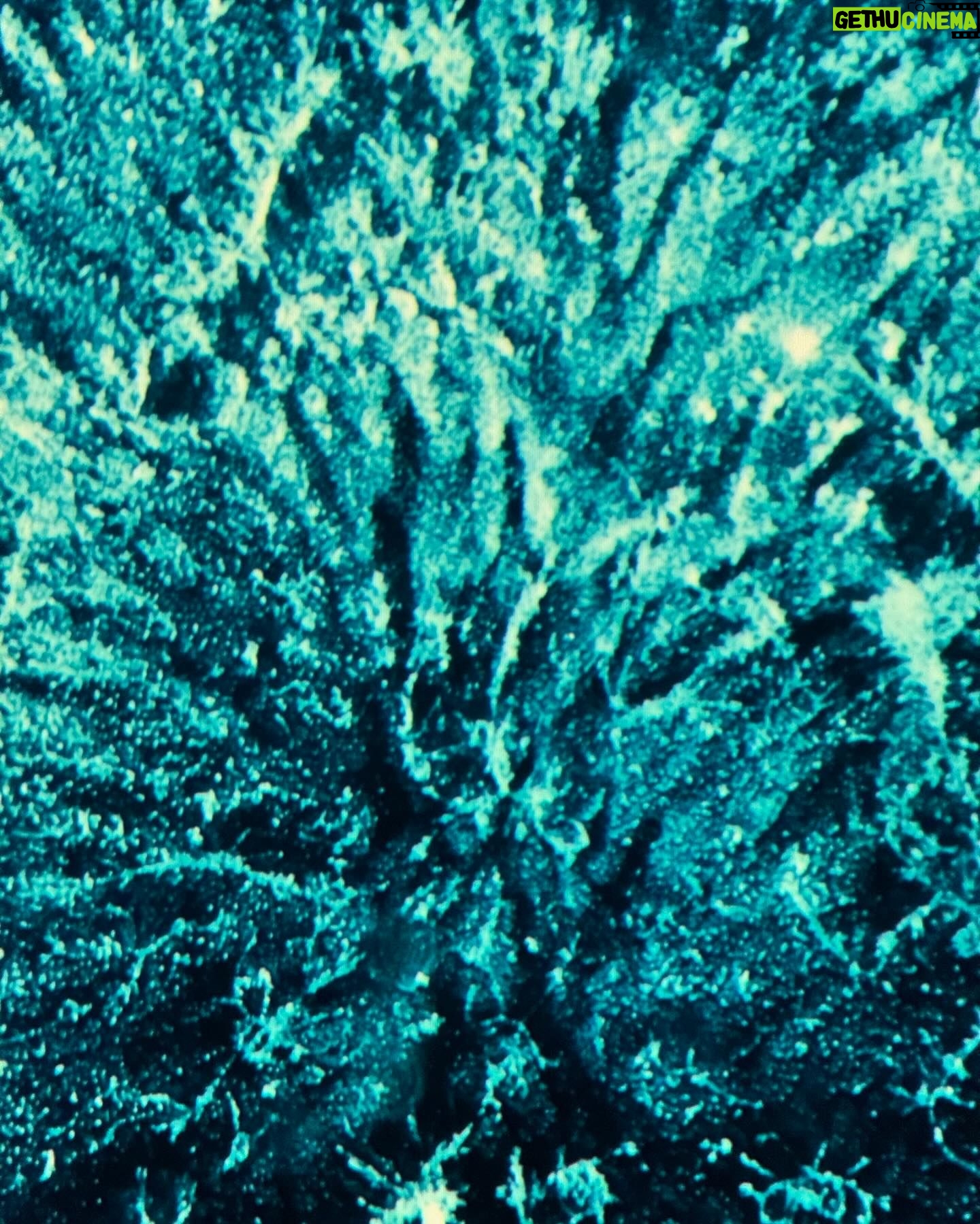 Sen Mitsuji | Gethu Cinema