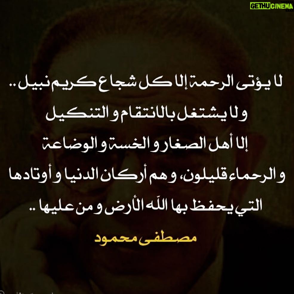 Sherif Salama | Gethu Cinema