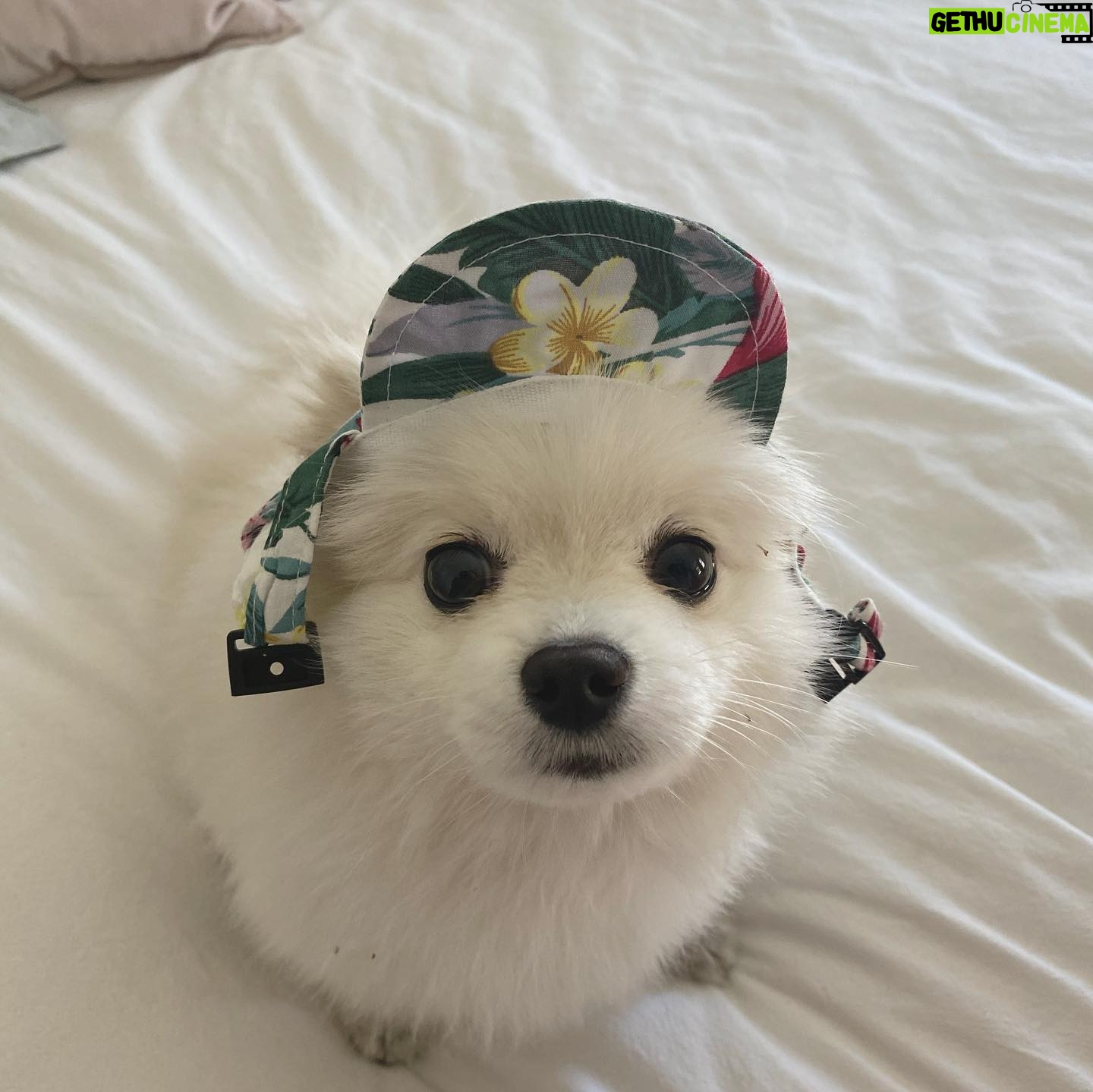 Shin Lim | Gethu Cinema