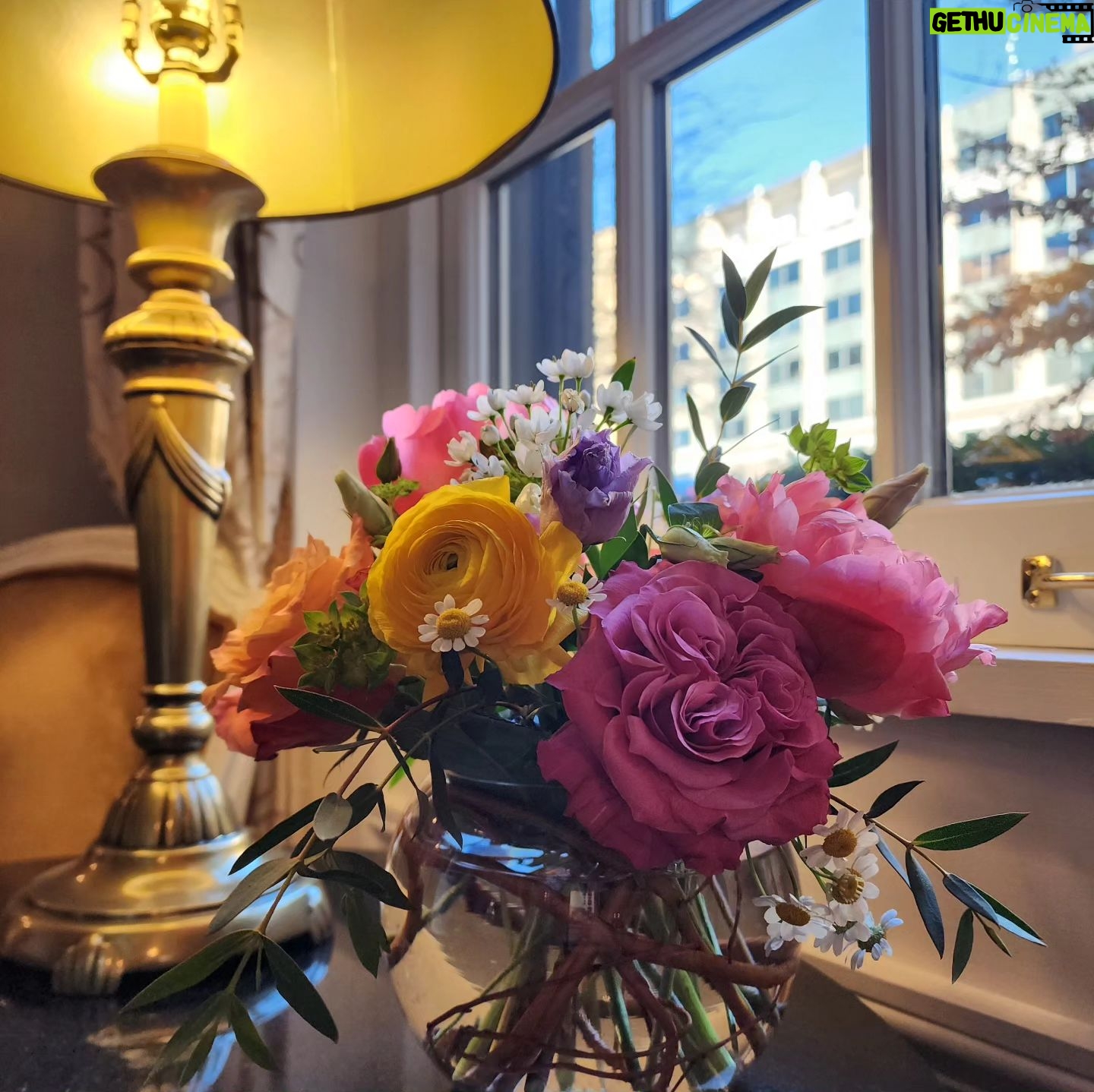 Stephanie Kim | Gethu Cinema