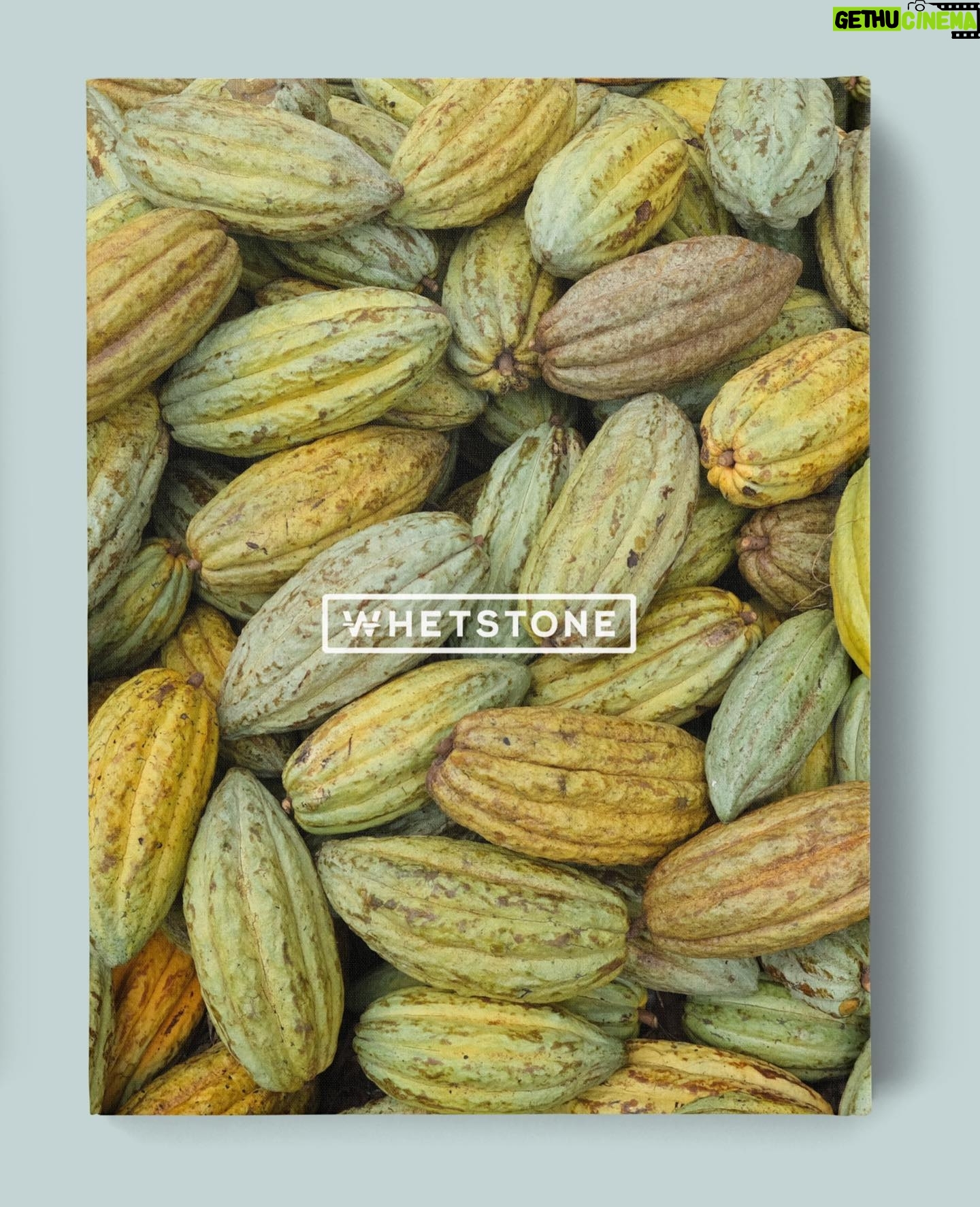 Stephen Satterfield | Gethu Cinema