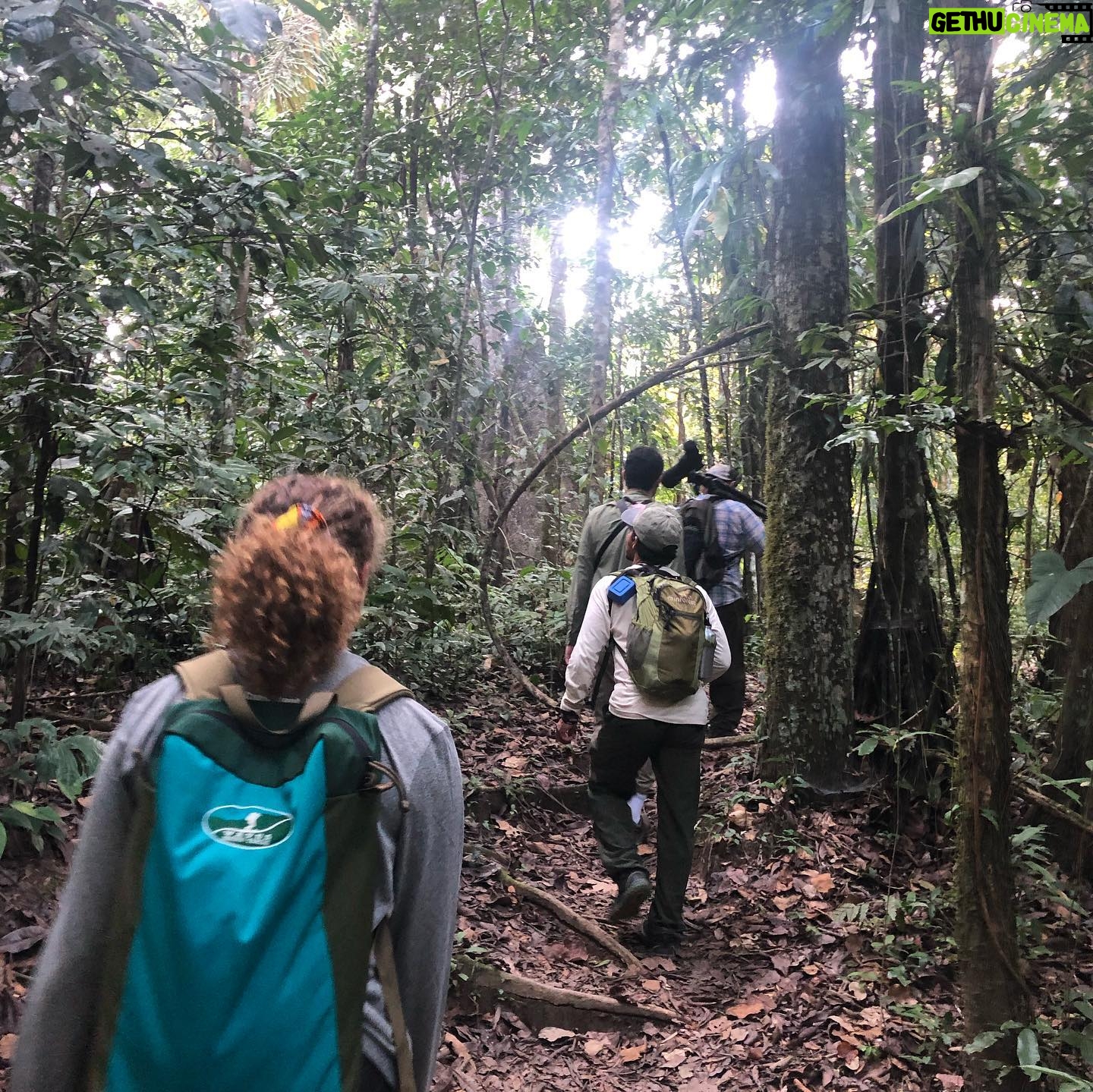 Susan Rice | Gethu Cinema