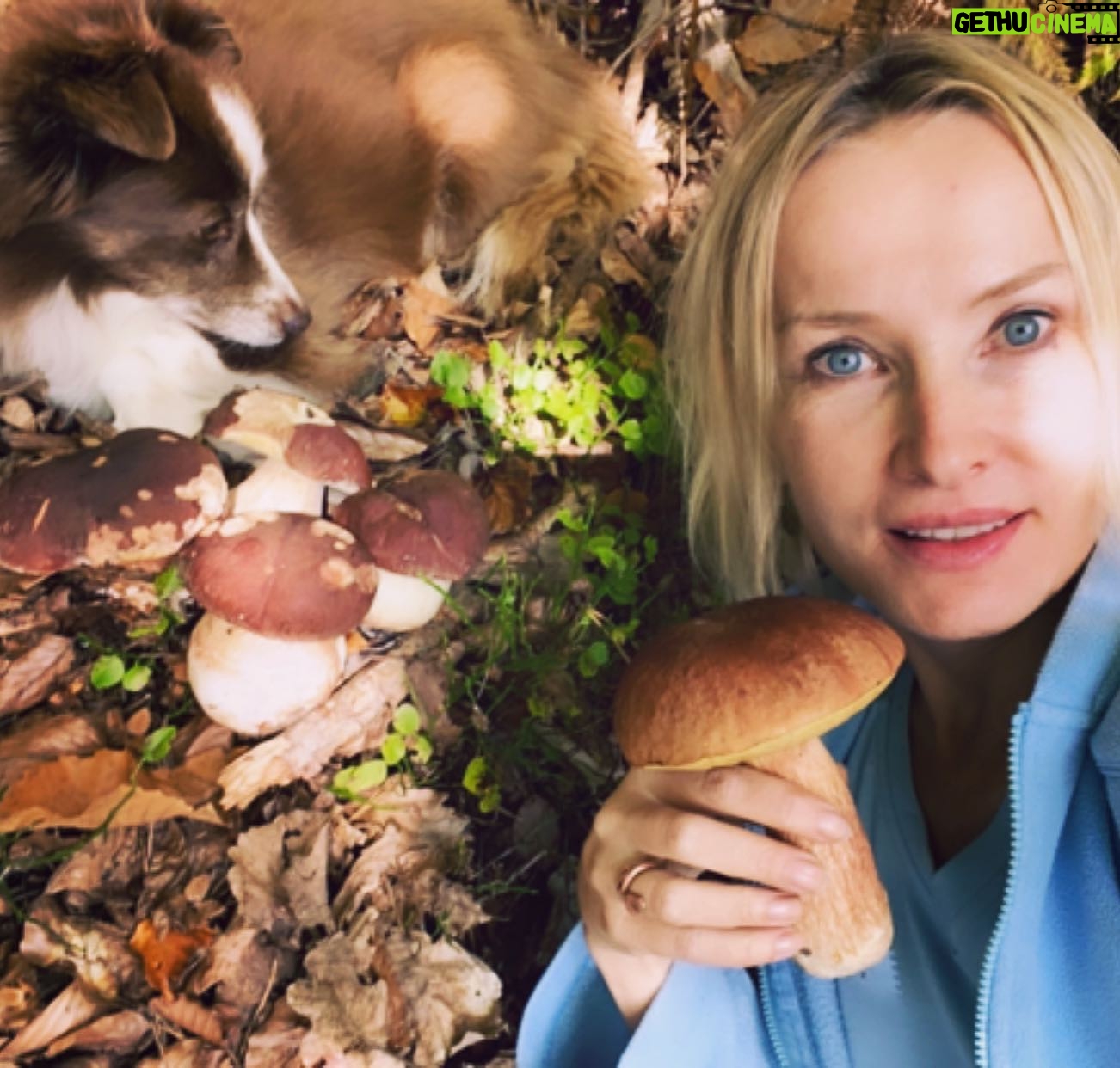 Tanja Ribič | Gethu Cinema