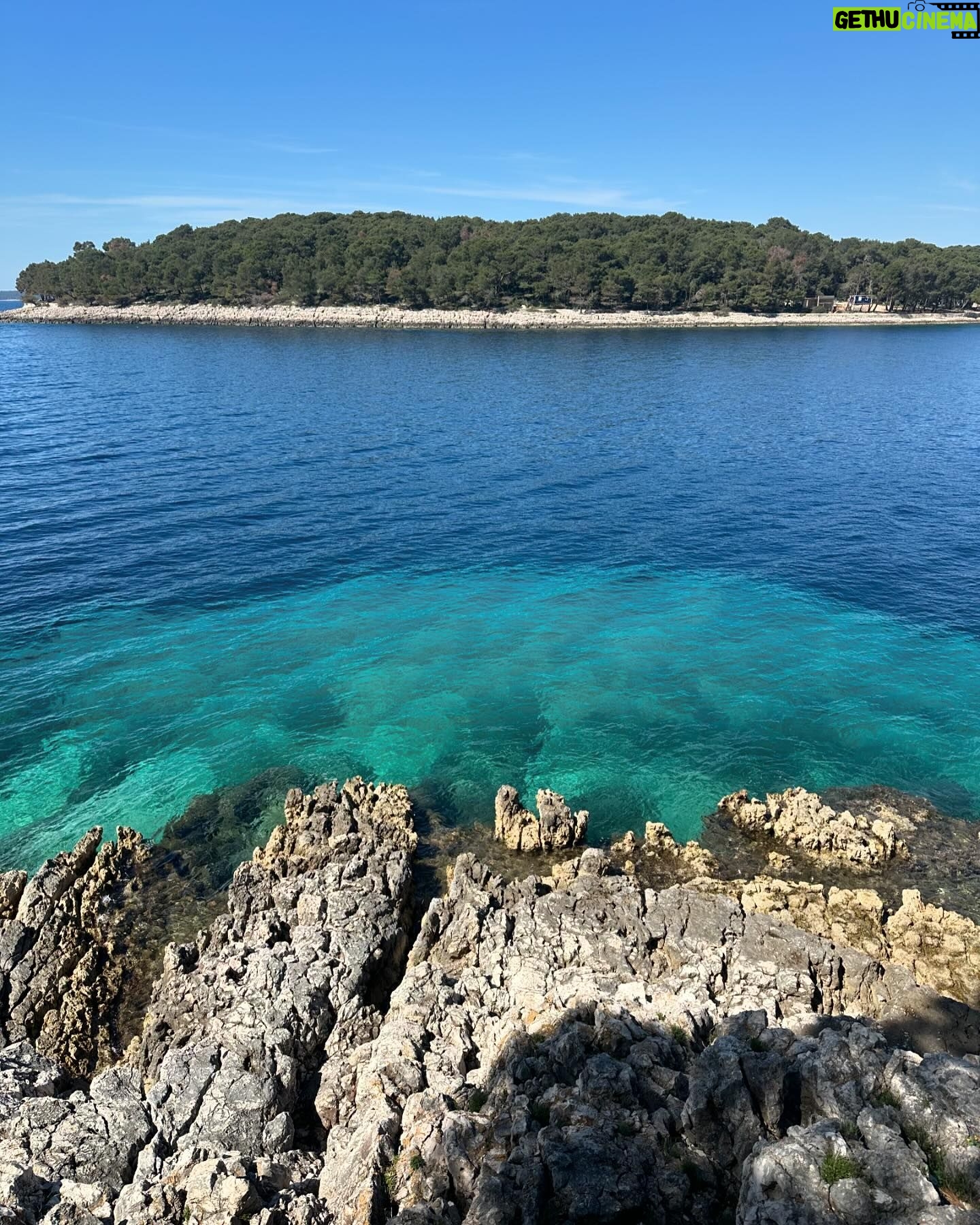 Actress Tiana Upcheva HD Instagram Photos and Wallpapers April 2024 ...