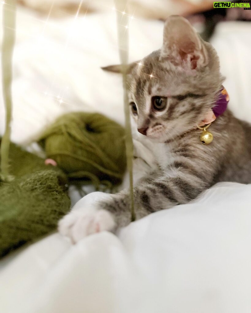 Actress Vickie Howell HD Instagram Photos and Wallpapers August 2023 | Gethu Cinema