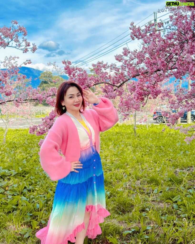 Actress Yi Ling Wang HD Instagram Photos and Wallpapers April 2024 ...