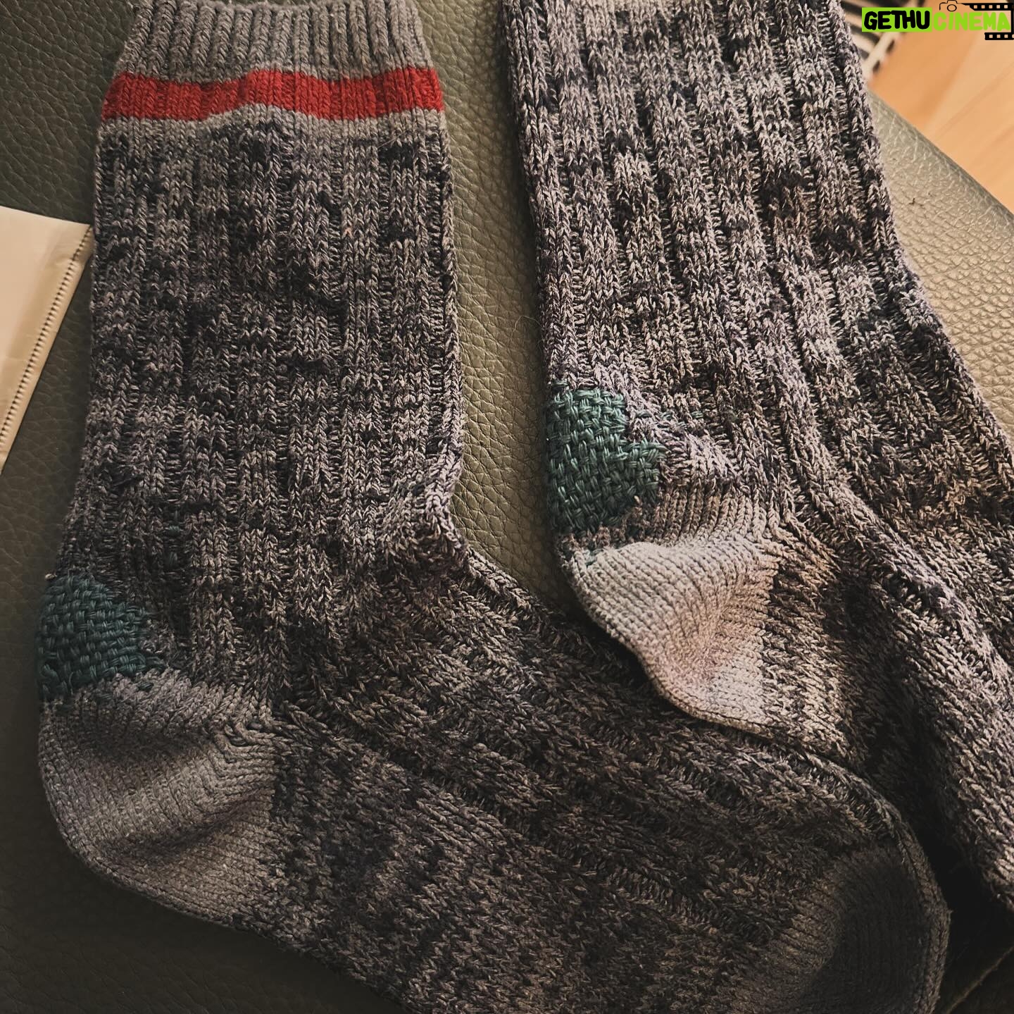 Yozoh Wiki, Biography, Age, Gallery, Spouse and more