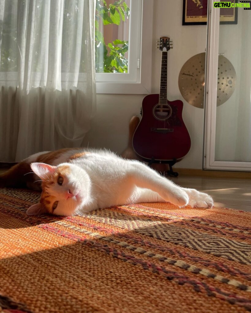 Actress Zeynep Kızıltan HD Instagram Photos and Wallpapers August 2023 ...