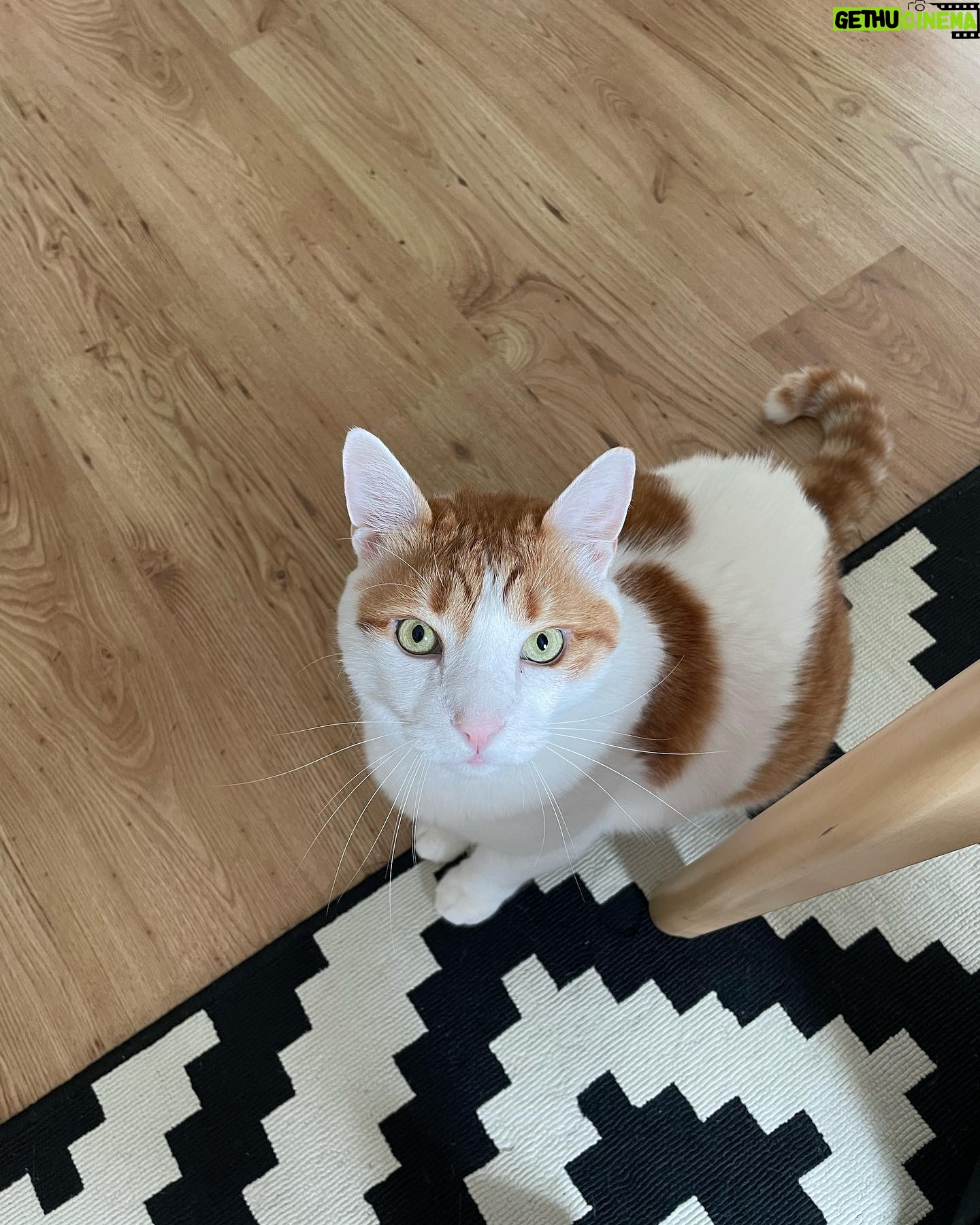 Zeynep Kızıltan | Gethu Cinema