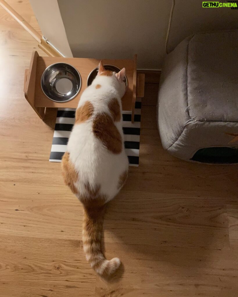 Actress Zeynep Kızıltan HD Instagram Photos and Wallpapers August 2023 ...